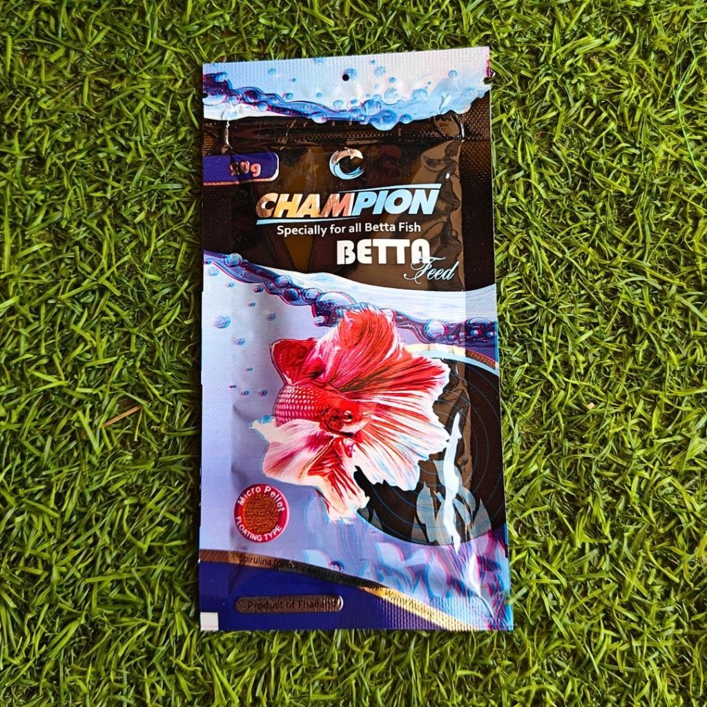 Vijay Aquarium – Welcome to Vijay Aquarium, your one-stop-shop for all ...