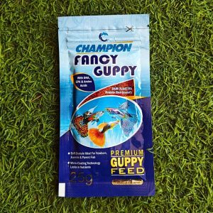 Vijay Aquarium – Welcome to Vijay Aquarium, your one-stop-shop for all ...